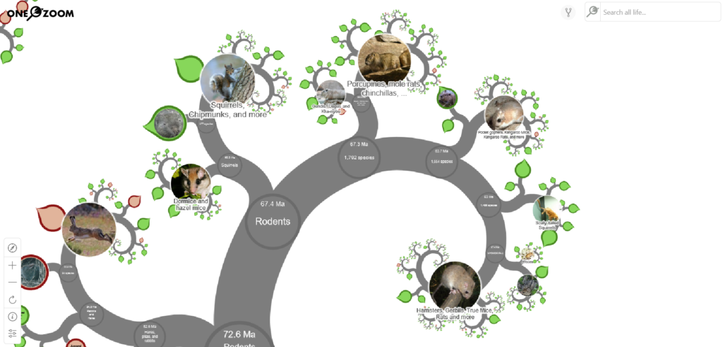 Science – Small Mammals SG