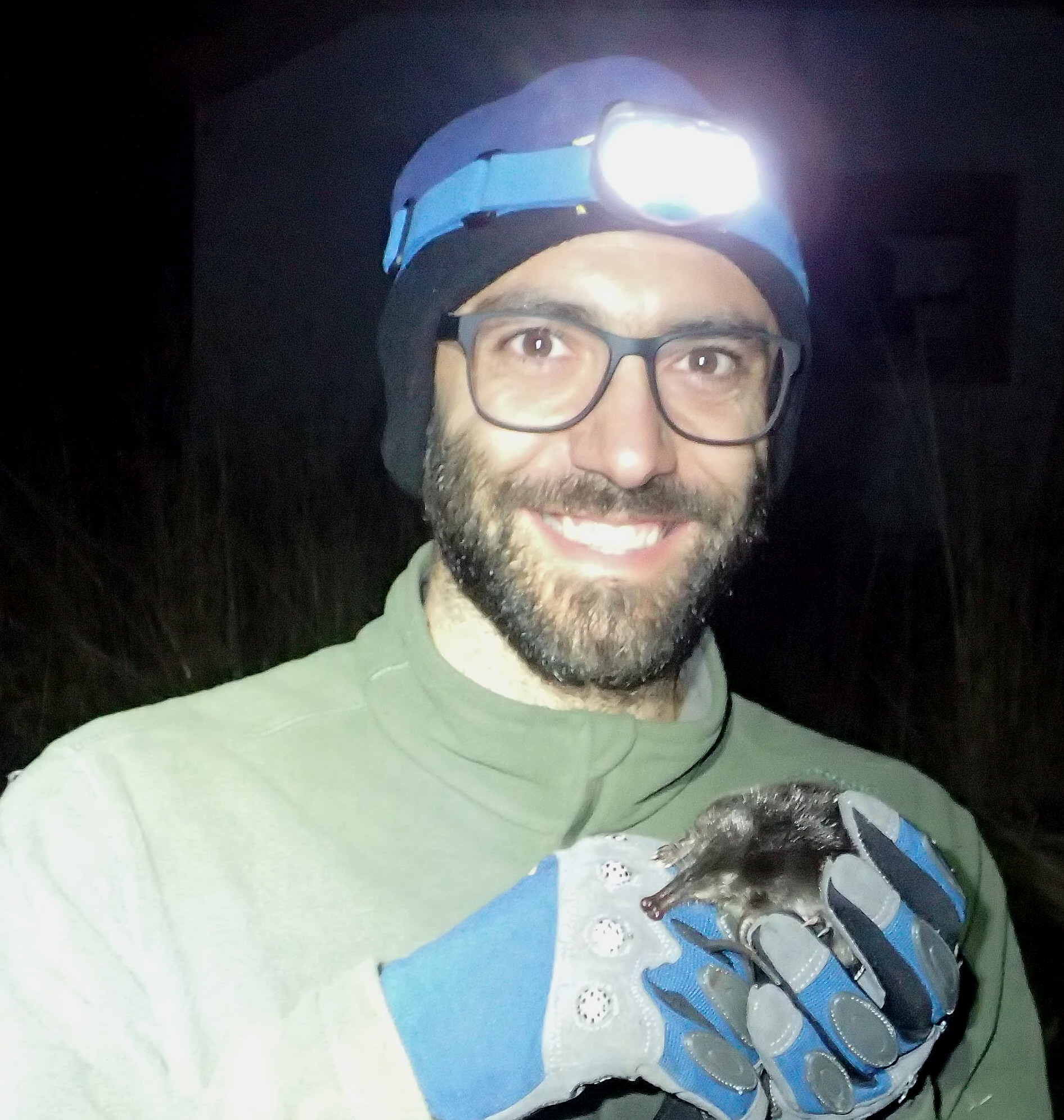 Pyrenean Desman is now Endangered – Small Mammals SG