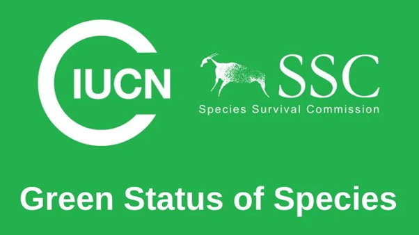 Small Mammals SG – Small Mammals Specialist Group